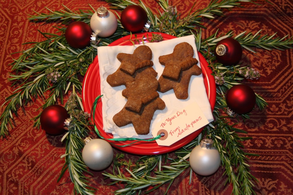 Gingerbread Mailman Cookies for Healthy, Happy Dogs | Stone Buhr
